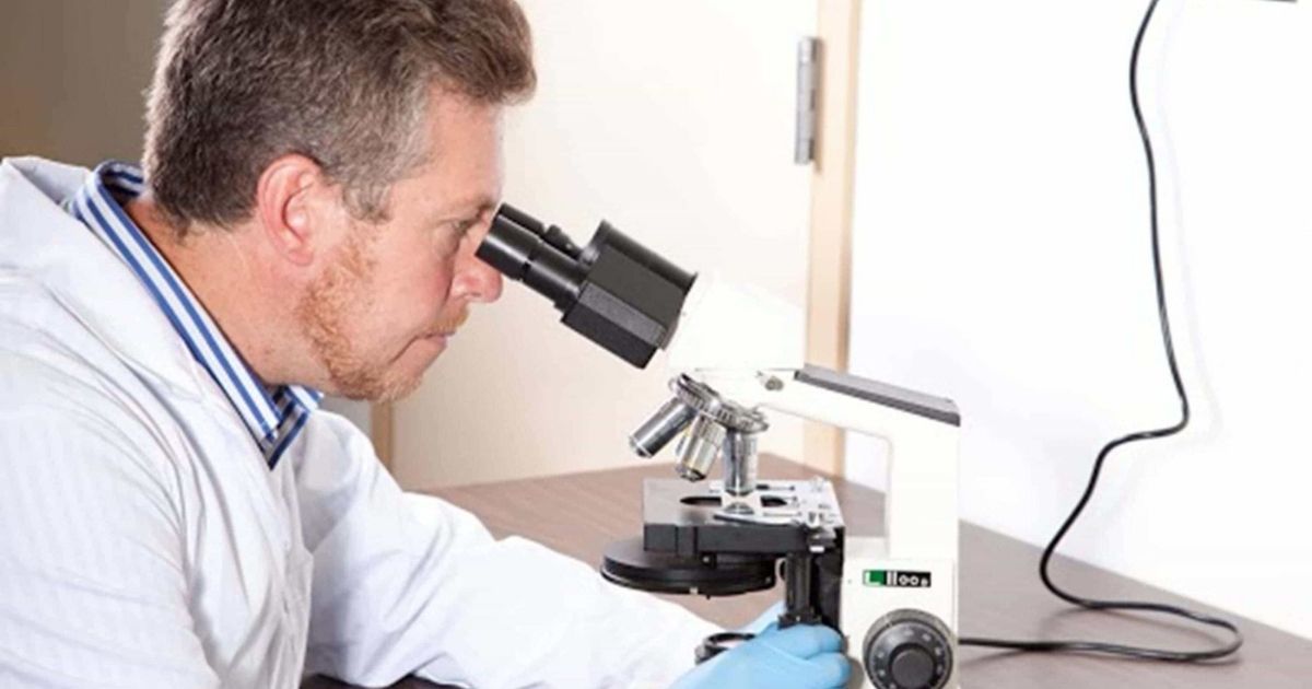 Free Asbestos Inspection & Testing Perth | Asbestos Testing